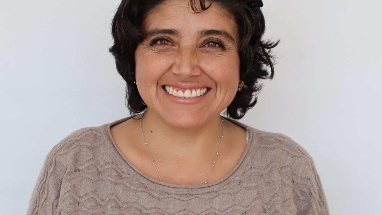 Organización | Colegio Andrés Bello La Serena